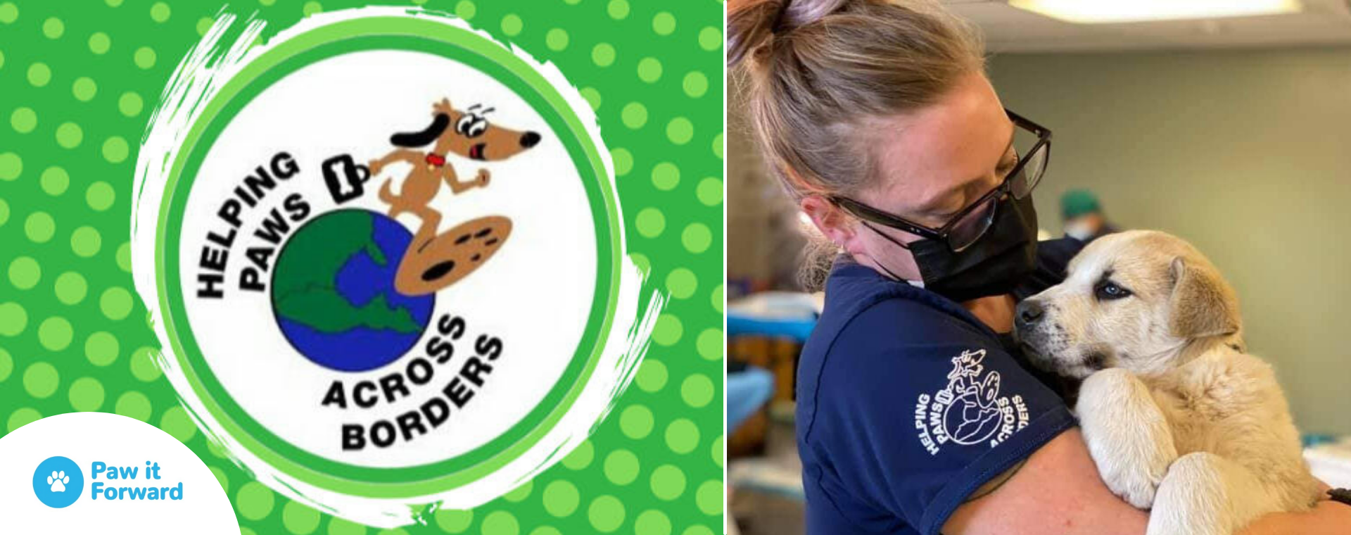 Paw It Forward: Helping Paws Across Borders