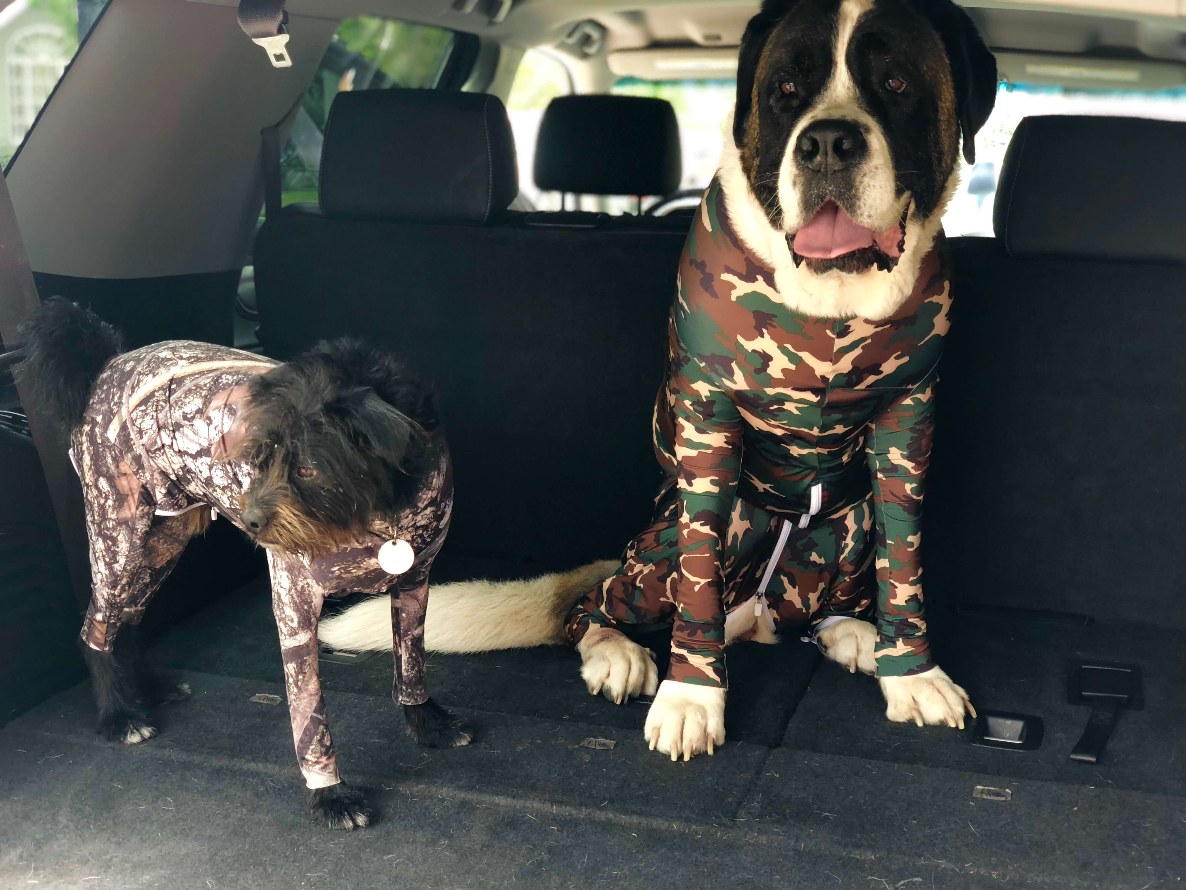 2 Camo Dogs
