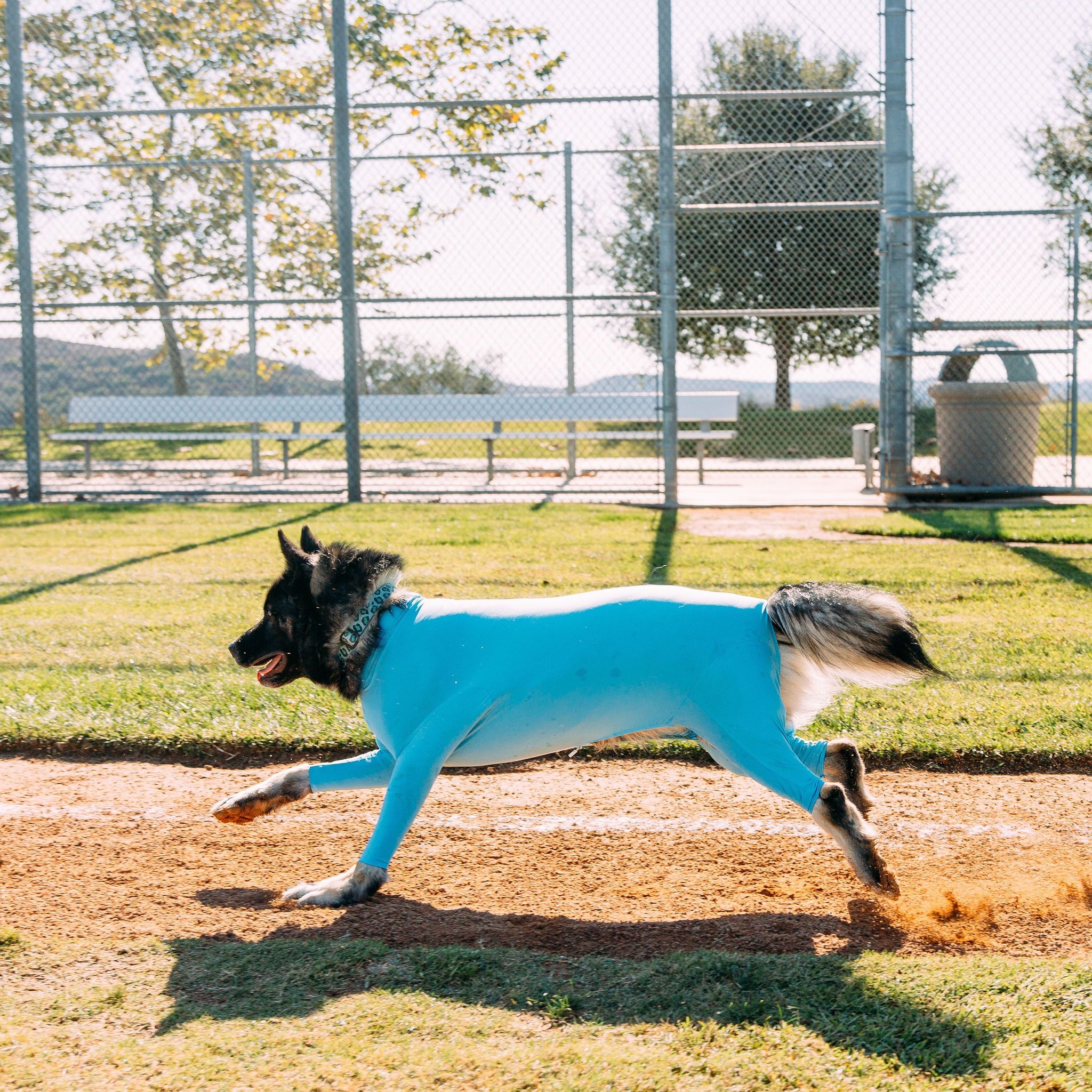 Shed Defender® Sport Dog Onesie Contains Shedding, Calms Anxious Dogs