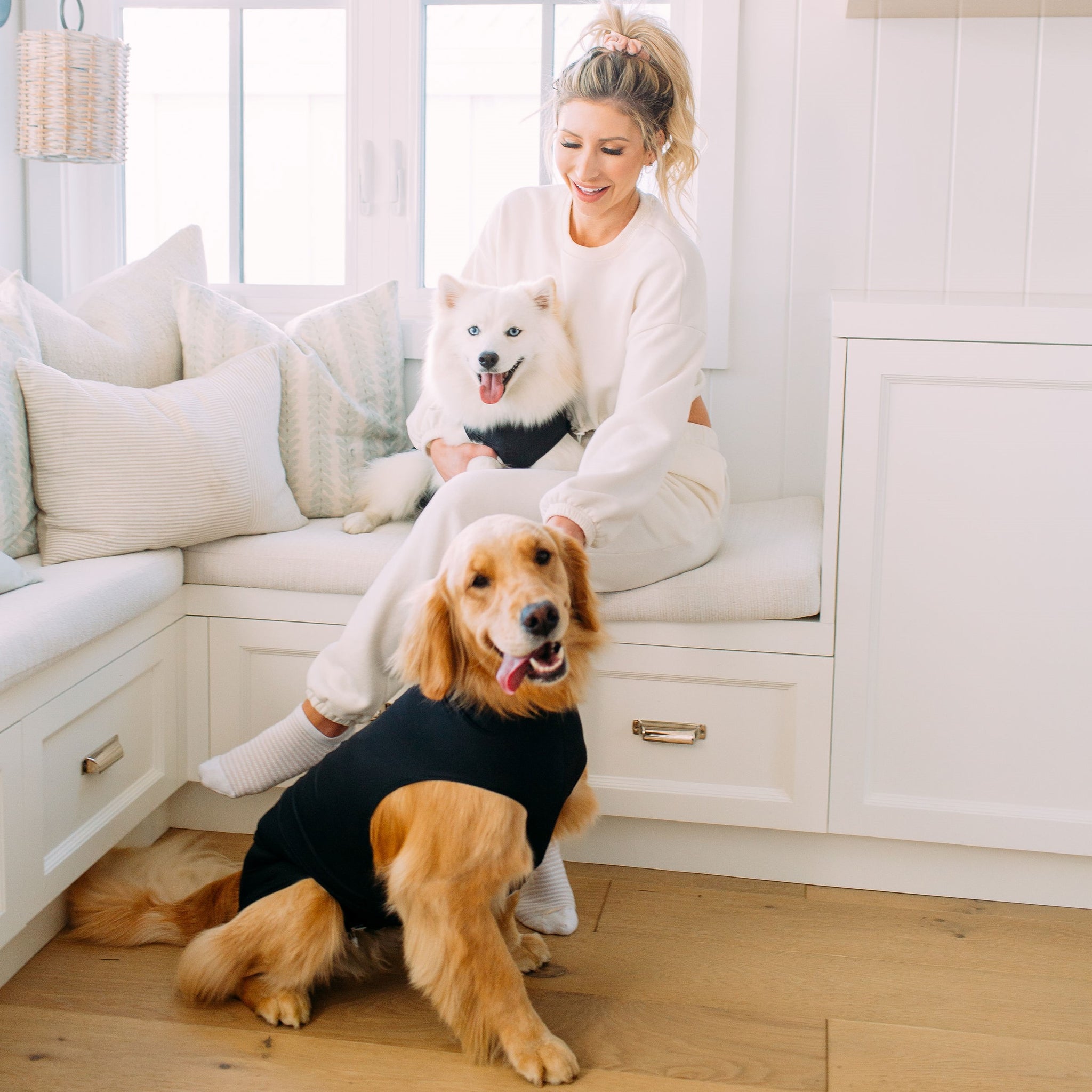 Shed Defender Recovery Onesie - Recovery Suit for Dogs - Post Surgery