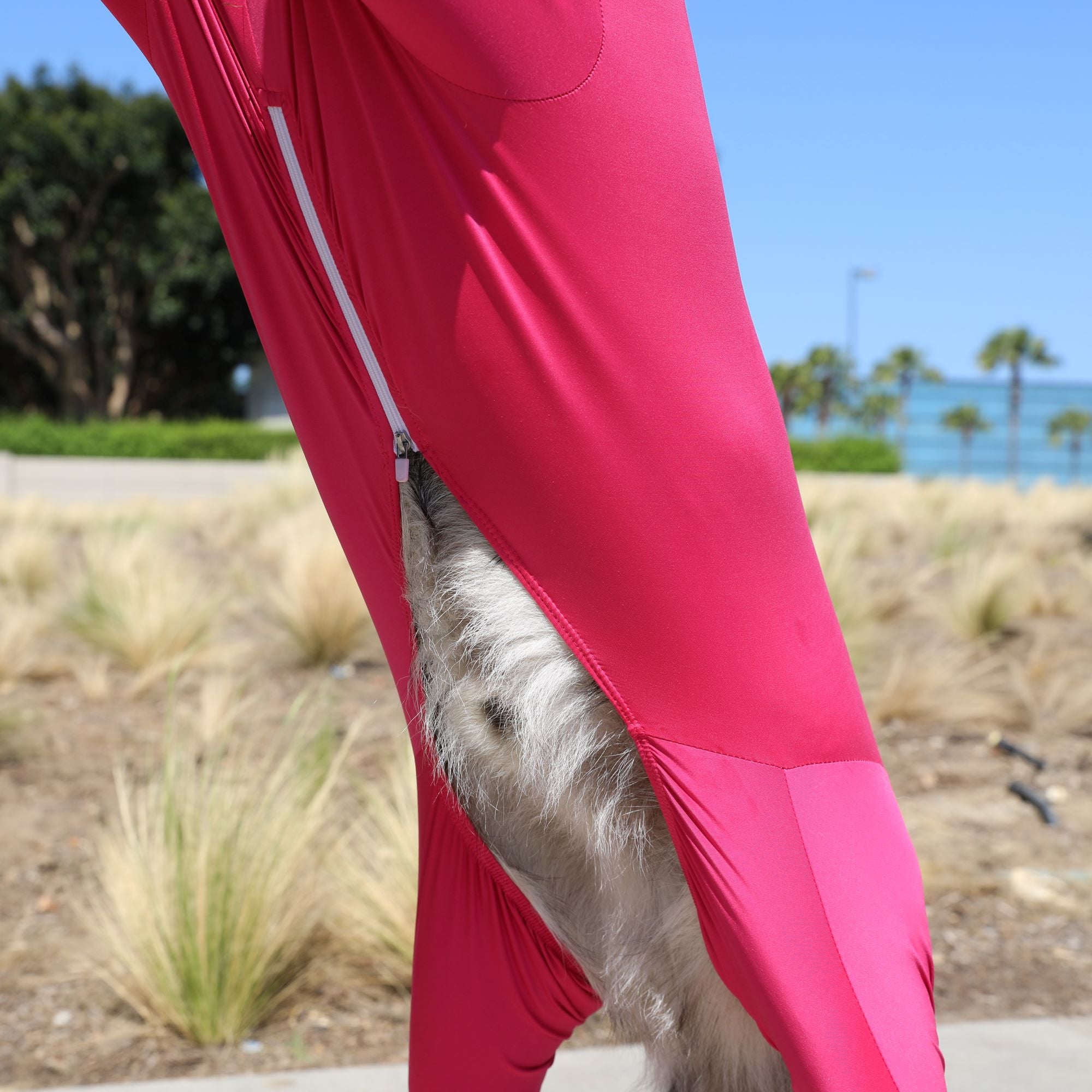 Shed Defender® Sport Dog Onesie Contains Shedding, Calms Anxious Dogs